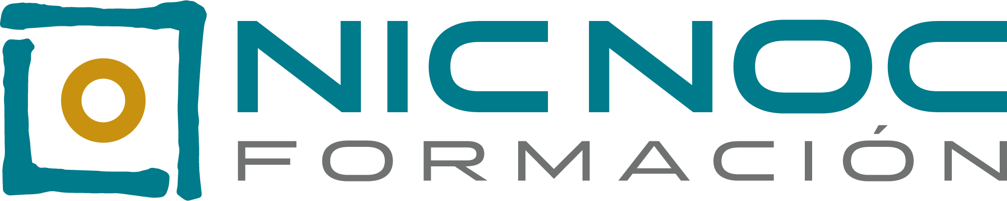 Cursos EIR - NIC NOC Formación